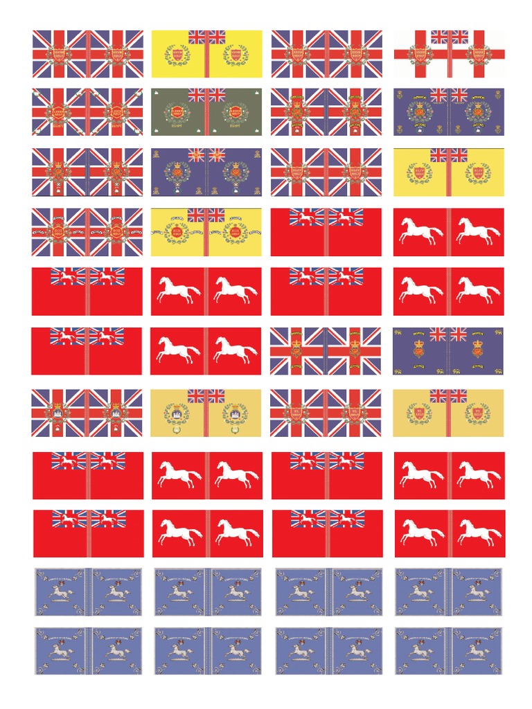 Flags at Waterloo | PDF | Violence | Unrest