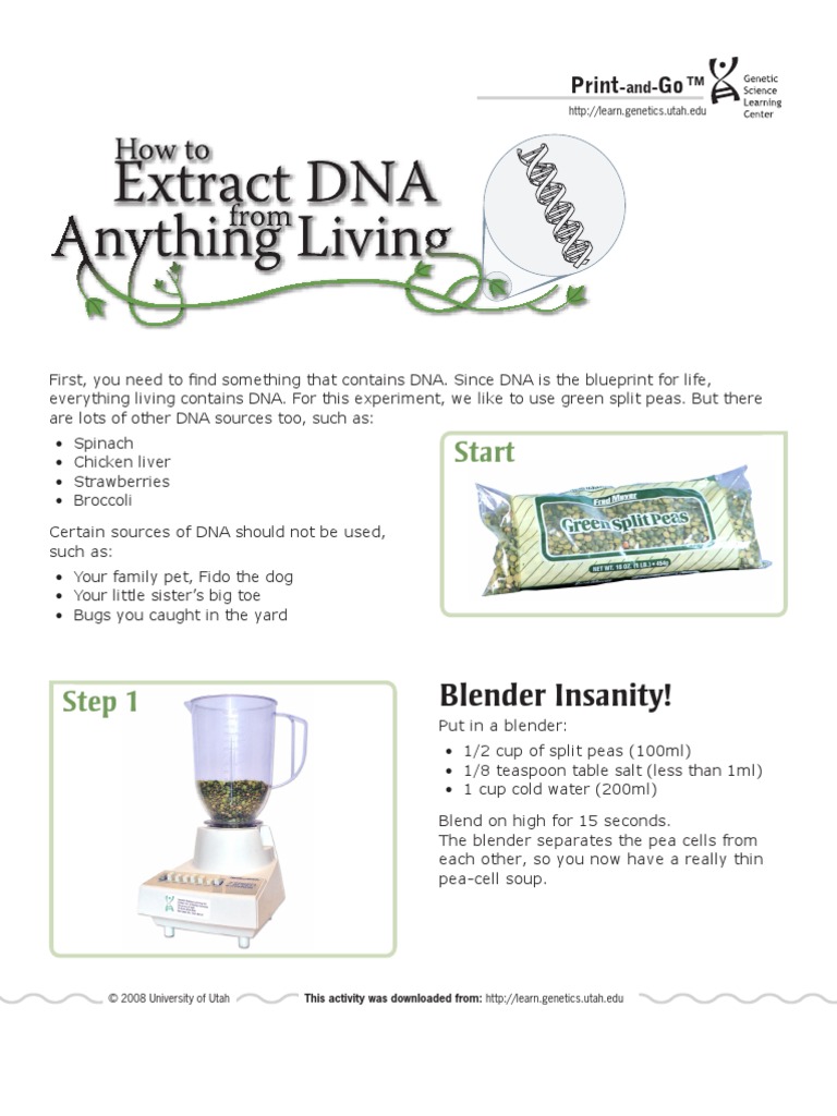 DNA Extraction | Ethanol | National Institutes Of Health