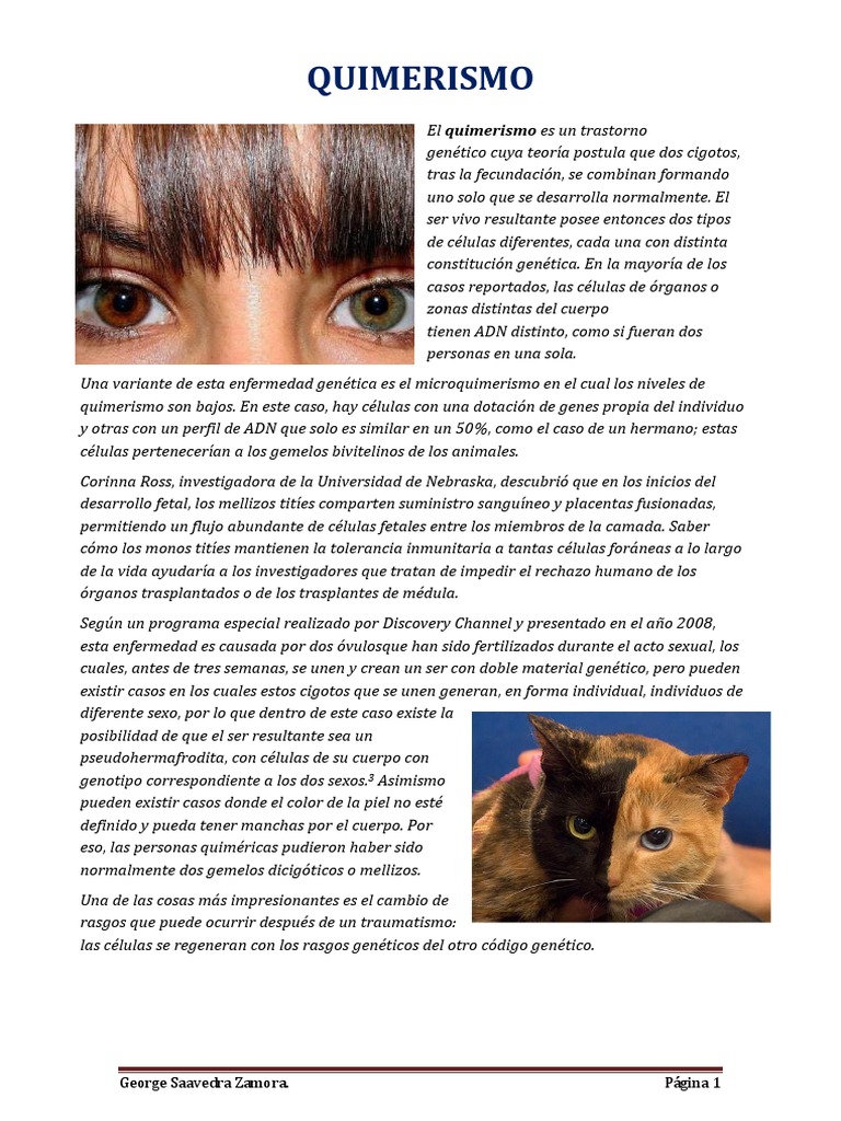 QUIMERISMO George Saavedra | PDF | Biología | Ciencias de la vida