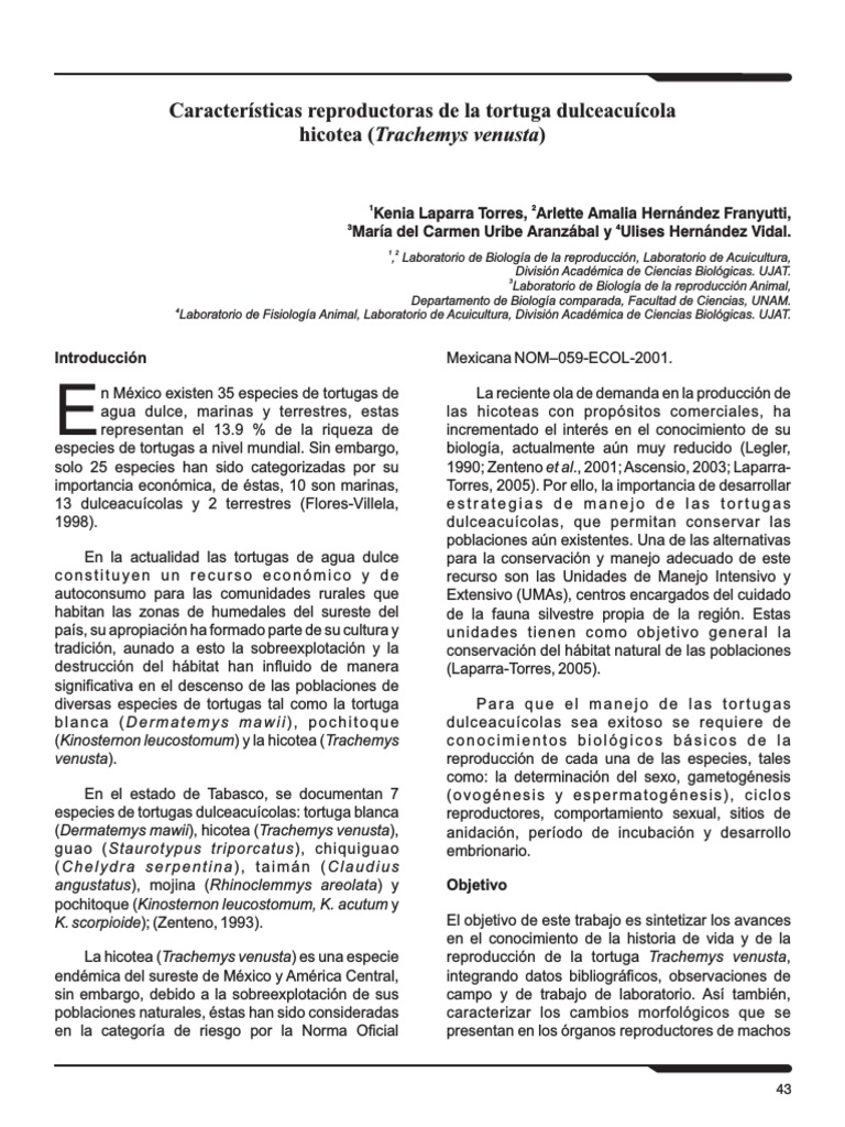 Características Reproductoras de La Tortuga Dulceacuícola Hicotea ...