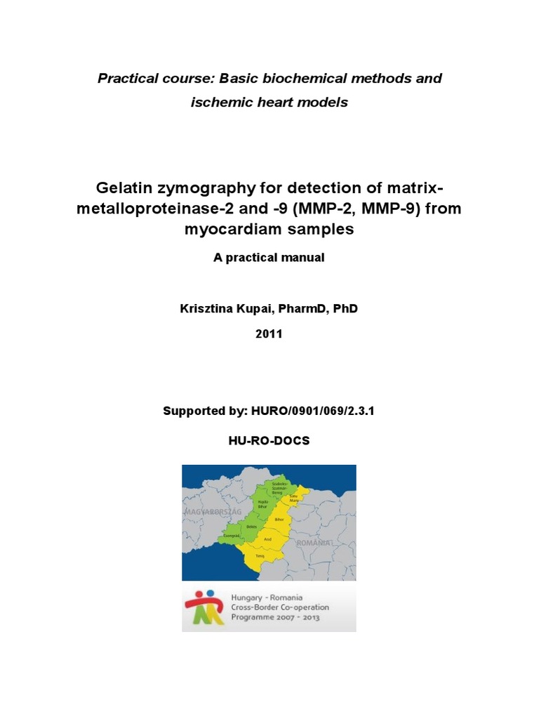 Gelatin Zymography For Detection of Matrixmetalloproteinase-2 and - 9 ...
