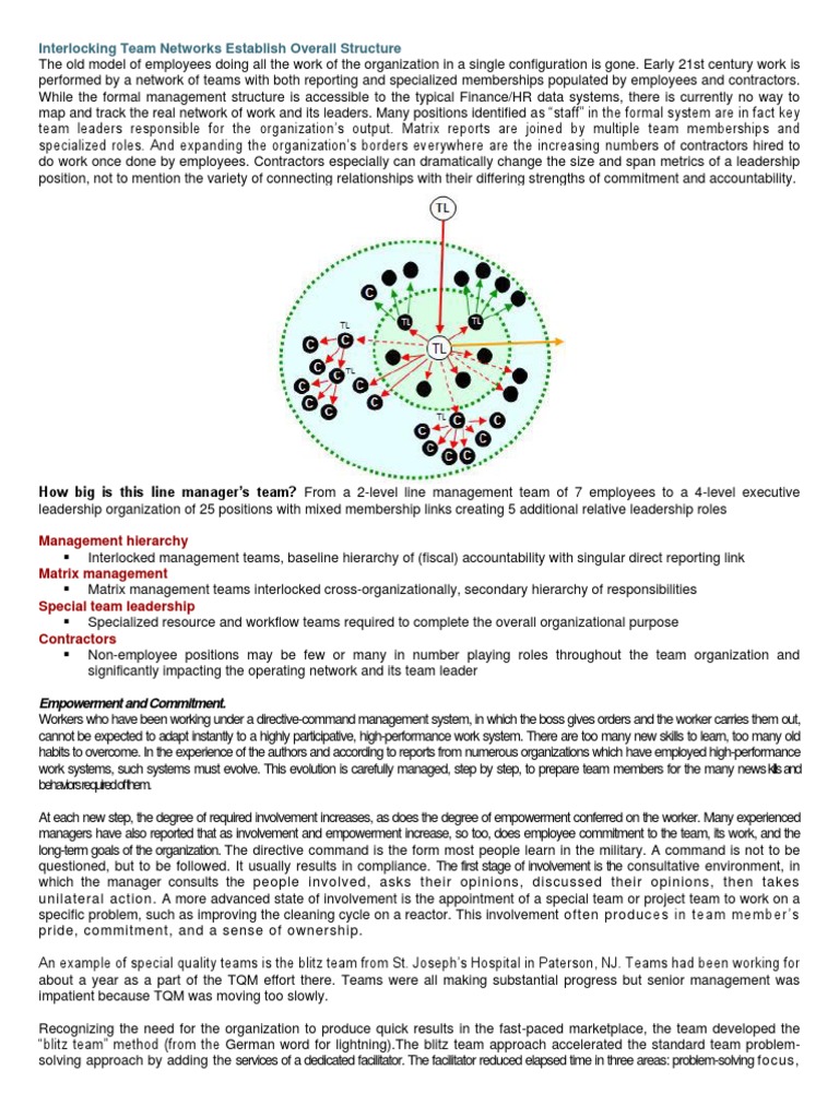 Interlocking Team | PDF | Facilitator | Leadership