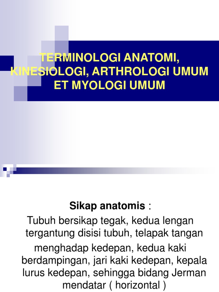 Terminologi Anatomi dan Kinesiologi | PDF