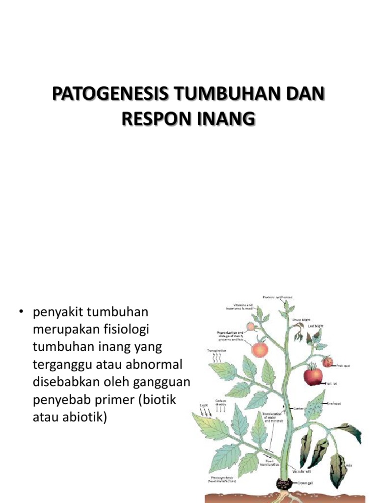 Patogenesis Tumbuhan | PDF