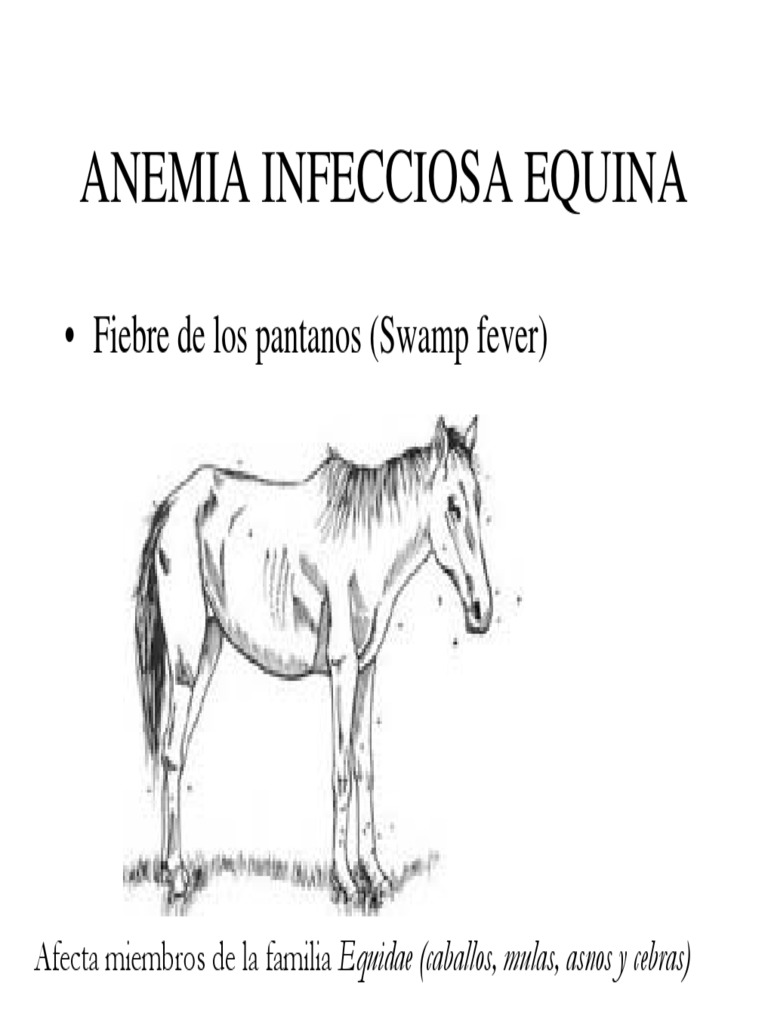 Anemia Infeccion Equina | PDF | Virus | Retrovirus