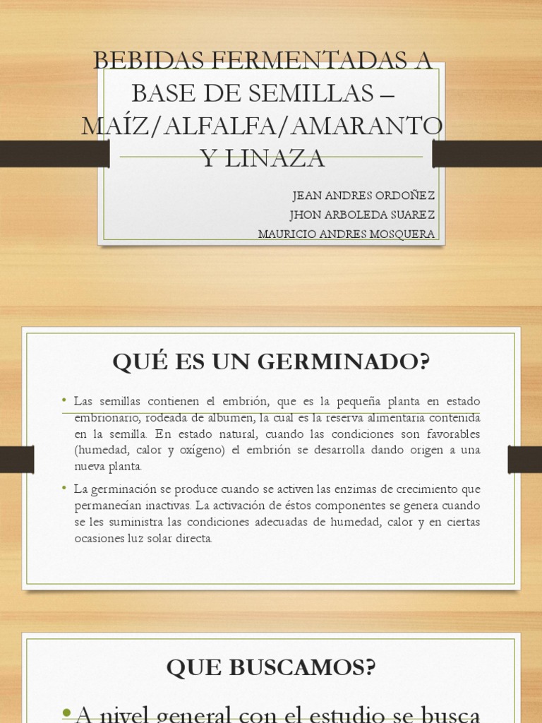 Bebida Fermentada de Maíz Germinado | PDF | Germinación | Semilla