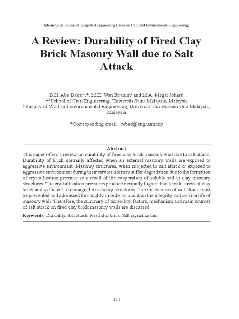 Durability of Clay Bricks Against Salt Attack | PDF | Sodium Chloride ...