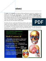 Rom Isom | PDF | Human Anatomy | Limbs (Anatomy)