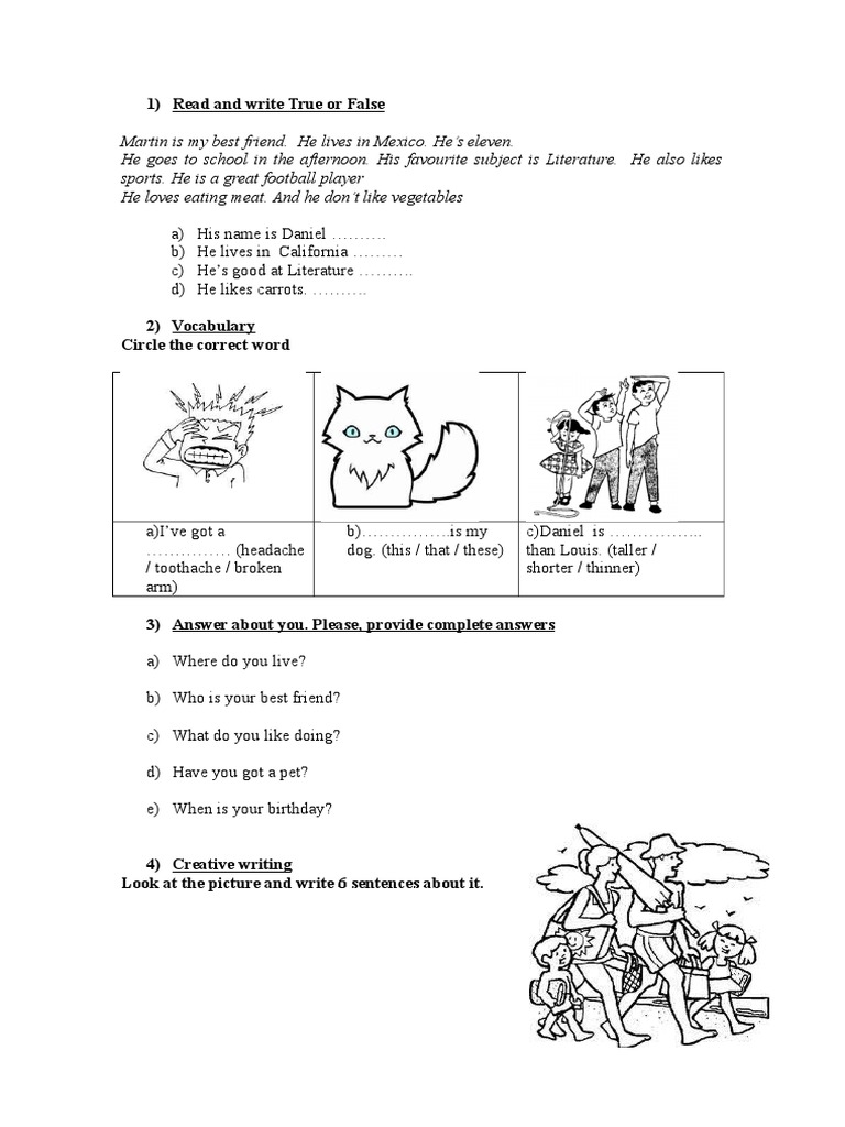 True or False Reading Exercise | PDF
