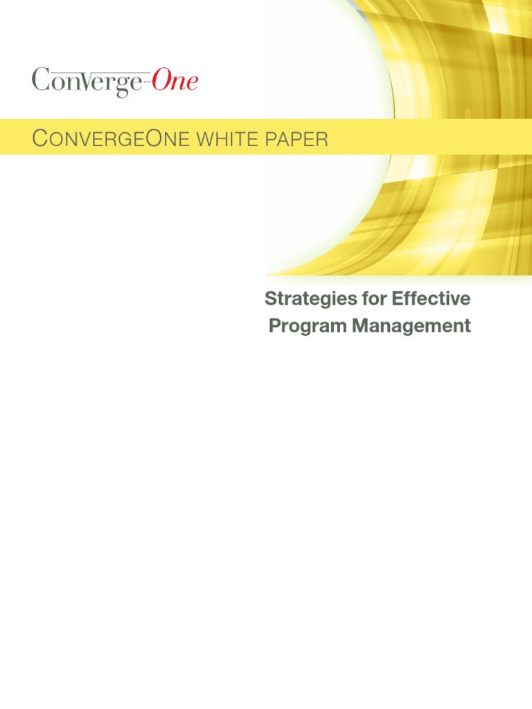 Effective Strategies for Program Management | PDF | Strategic ...