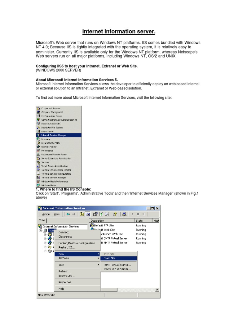Configuring IIS 5 for Web Hosting | PDF
