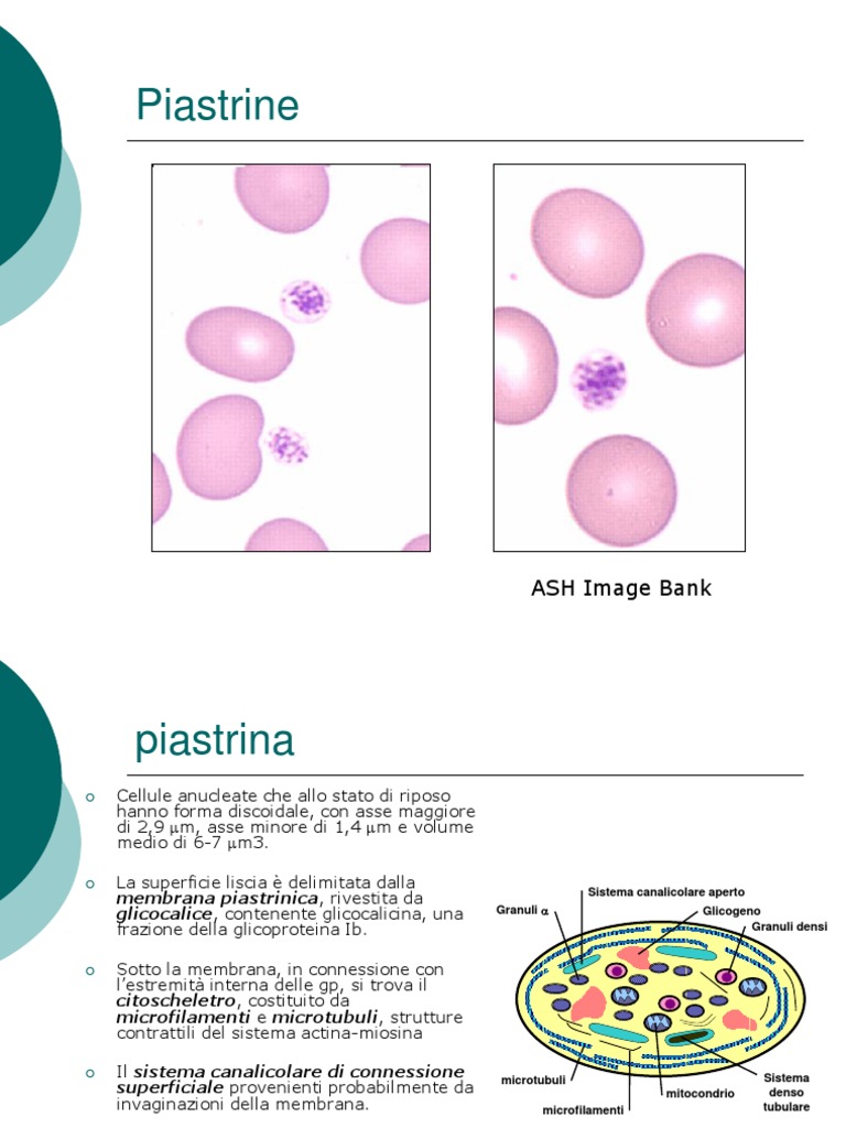Piastrine 2011 | PDF