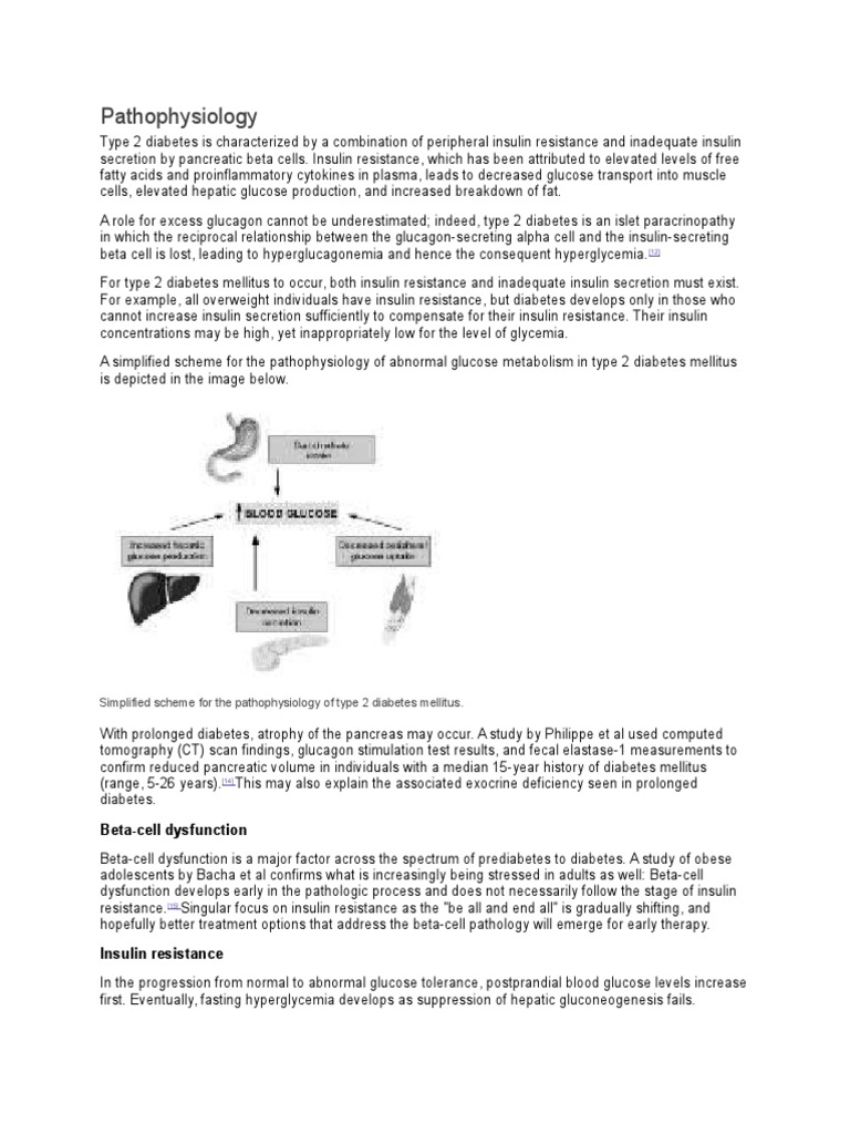 Pathophysiology Scribd | PDF | Insulin Resistance | Diabetes Mellitus