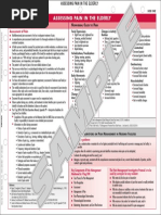 Brief Pain Inventory (Short Form) | Pain Management | Pain