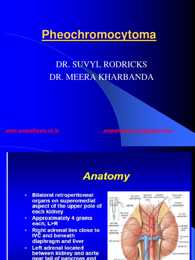 Pheochromocytoma: Dr. Suvyl Rodricks Dr. Meera Kharbanda | PDF ...