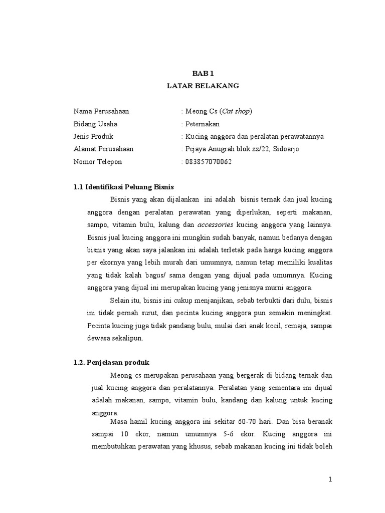 Bisnis Plan Mom Party Contoh | PDF