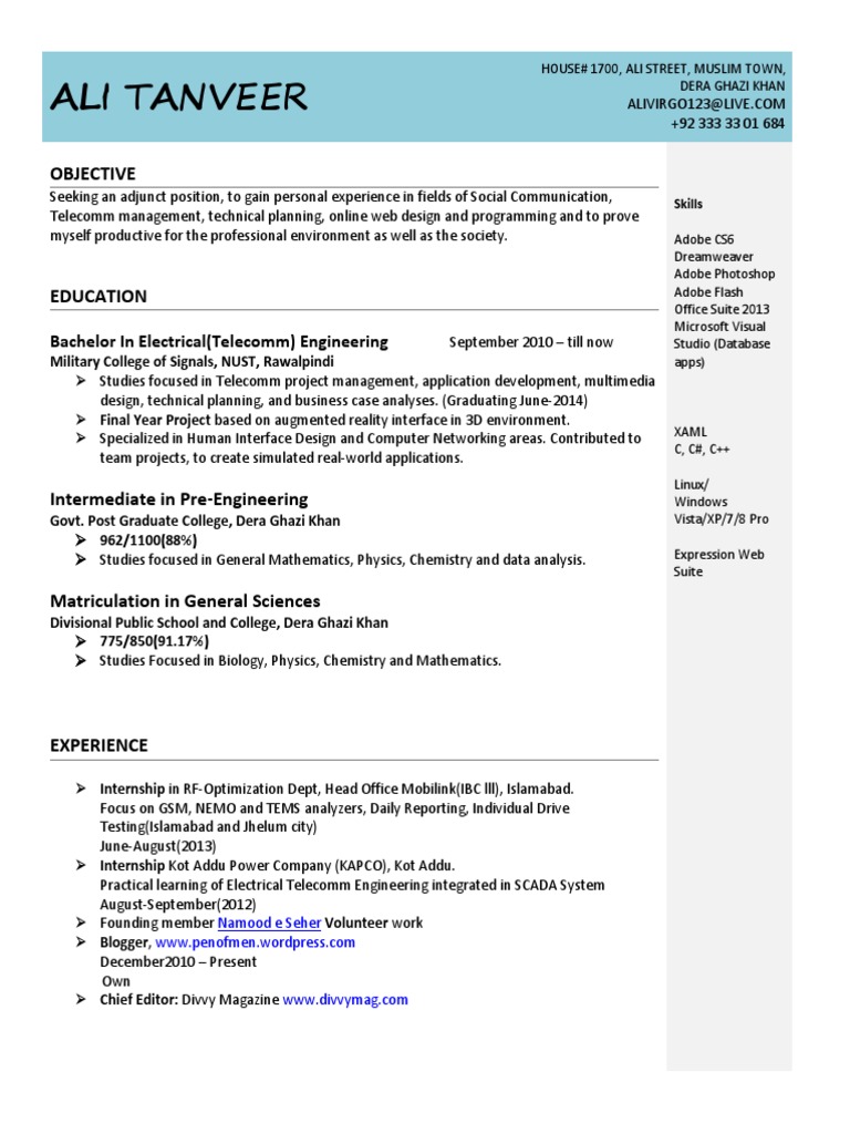 Ali Tanveer CV | PDF | Telecommunication | Computing