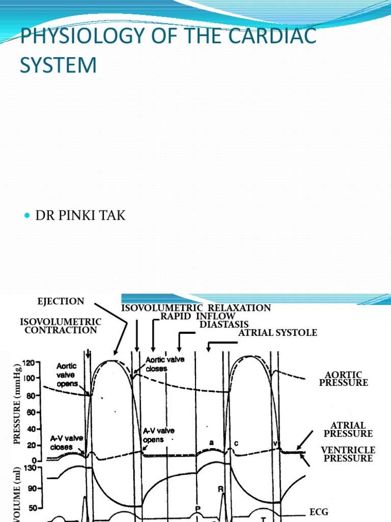 Physiology of The Cardiac System | PDF | Atrium (Heart) | Heart Valve