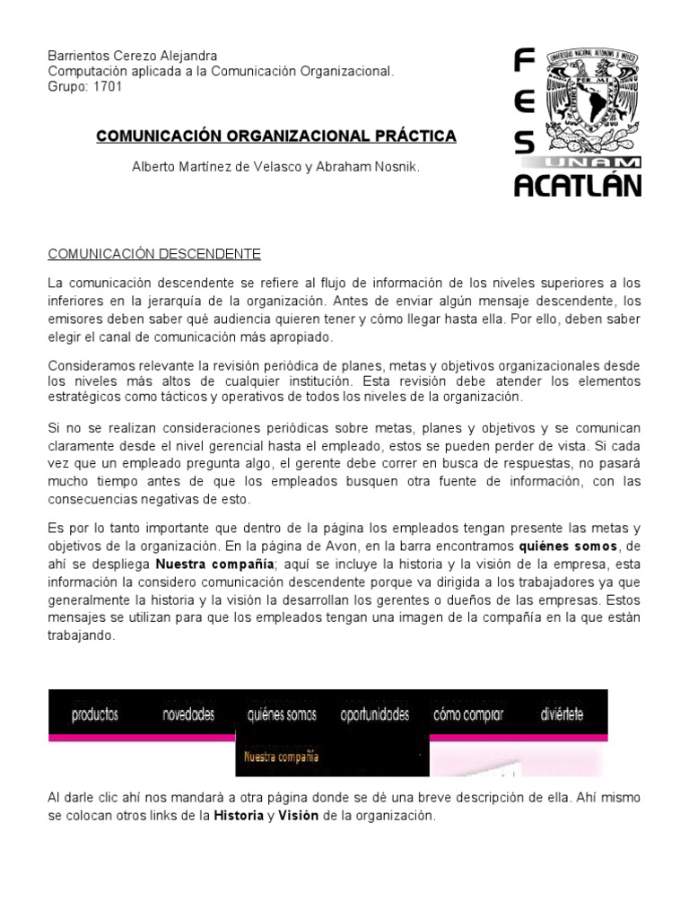 Comunicación Orga. Práctica | PDF | Comunicación | Información