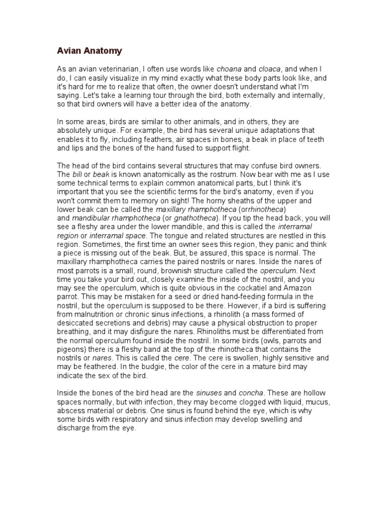 Avian Anatomy: Region or Interramal Space. The Tongue and Related ...