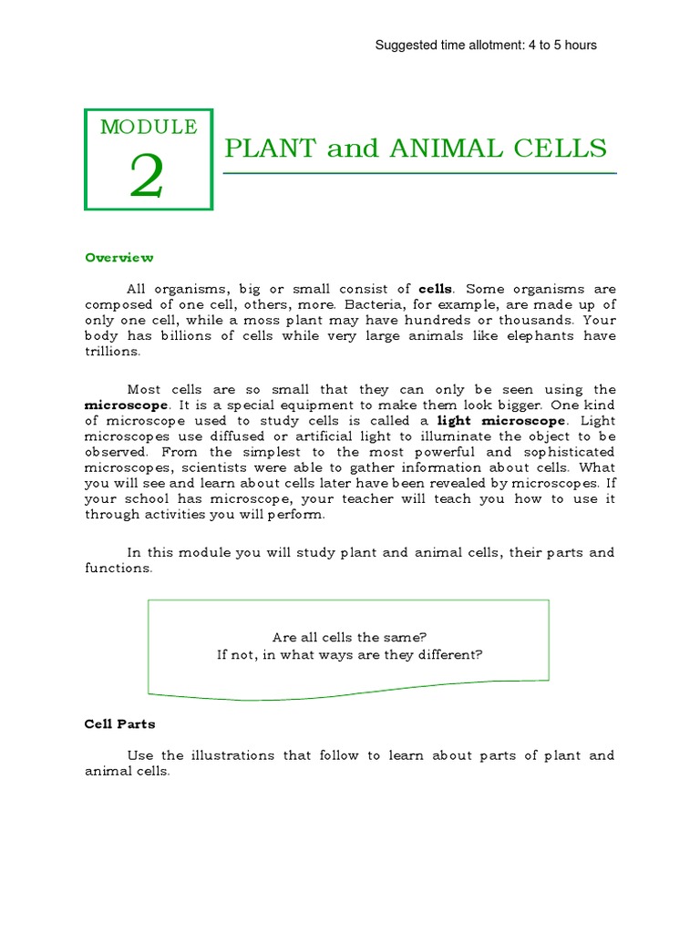 QTR 2 Module 2 Plant and Animal Cells | PDF | Vacuole | Eukaryotes