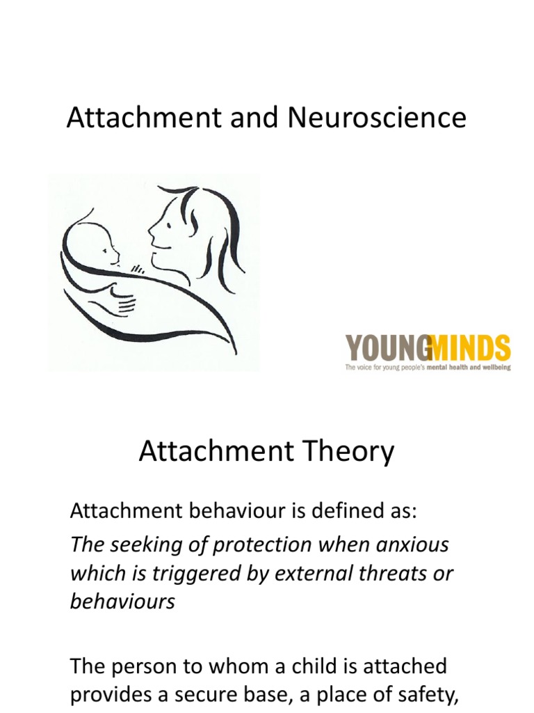 Attachment and Neuroscience | Attachment Theory | Adolescence