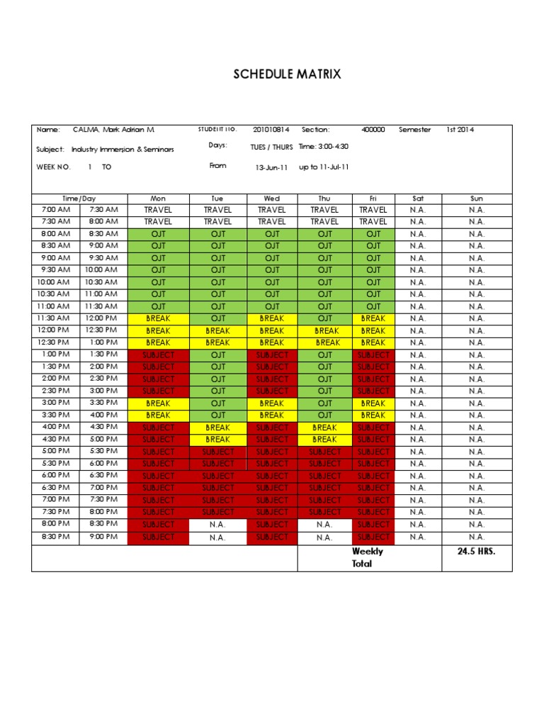 Matrix Schedule for Industry Immersion | PDF