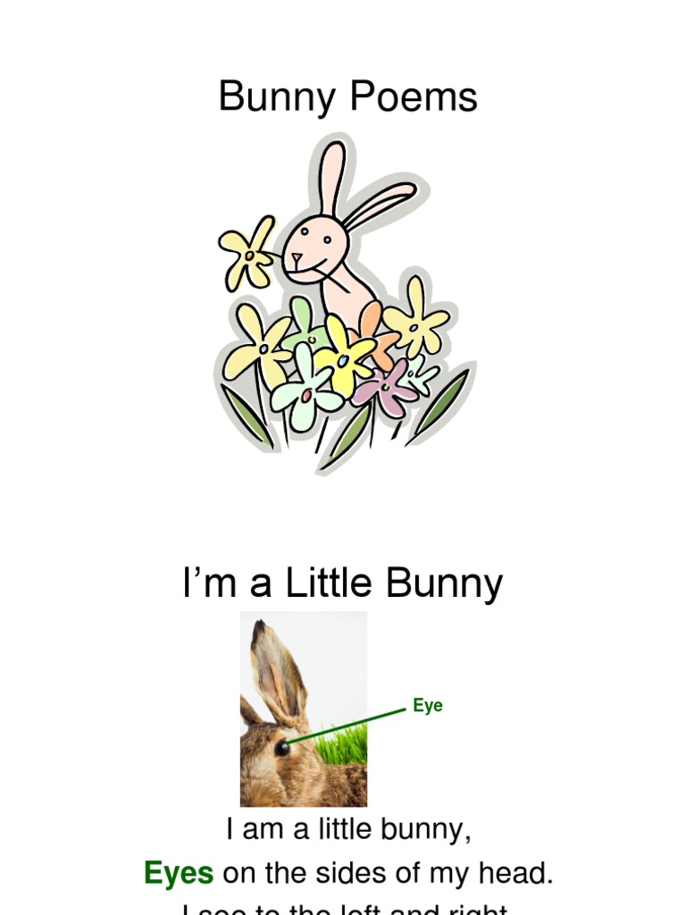 Bunny Poems | PDF | Home & Garden
