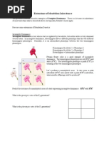 Harry Potter Genetics | PDF | Dominance (Genetics) | Allele
