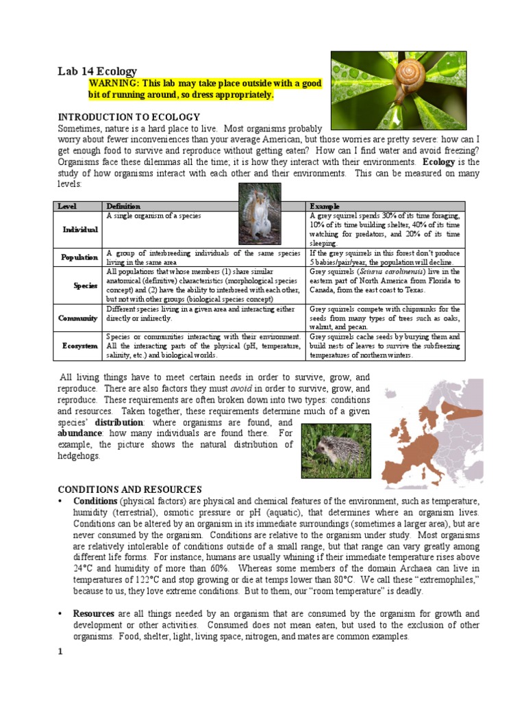 Lab 14 Ecology - Carrying Capacity - Outdoor | PDF | Predation | Foraging