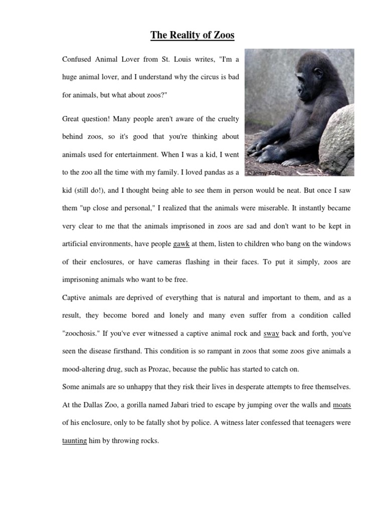 The Reality of Zoos | PDF | Zoo | Animals And Humans