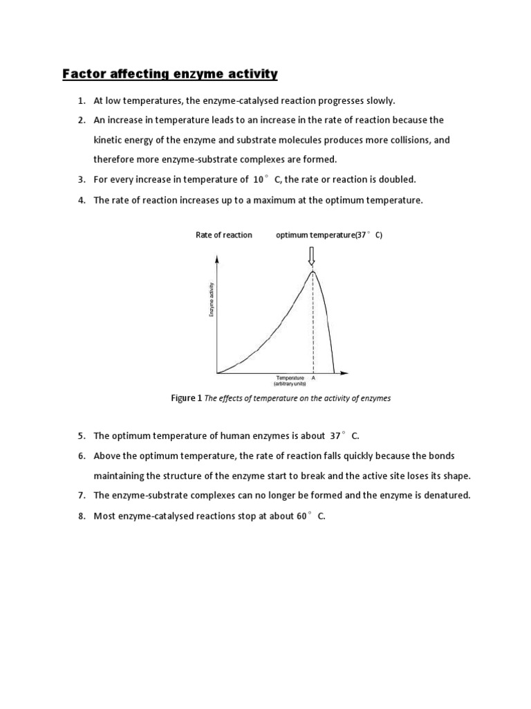 Factor Affecting Enzyme Activity | PDF | Cooking, Food & Wine