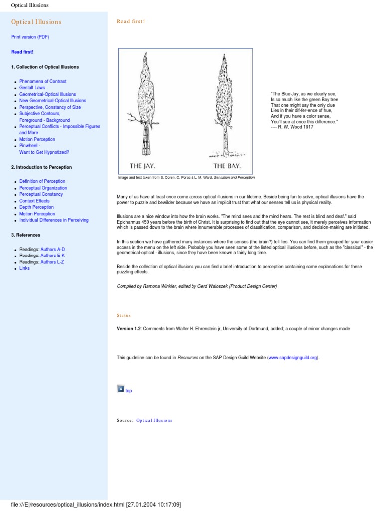 Optical Illution | PDF