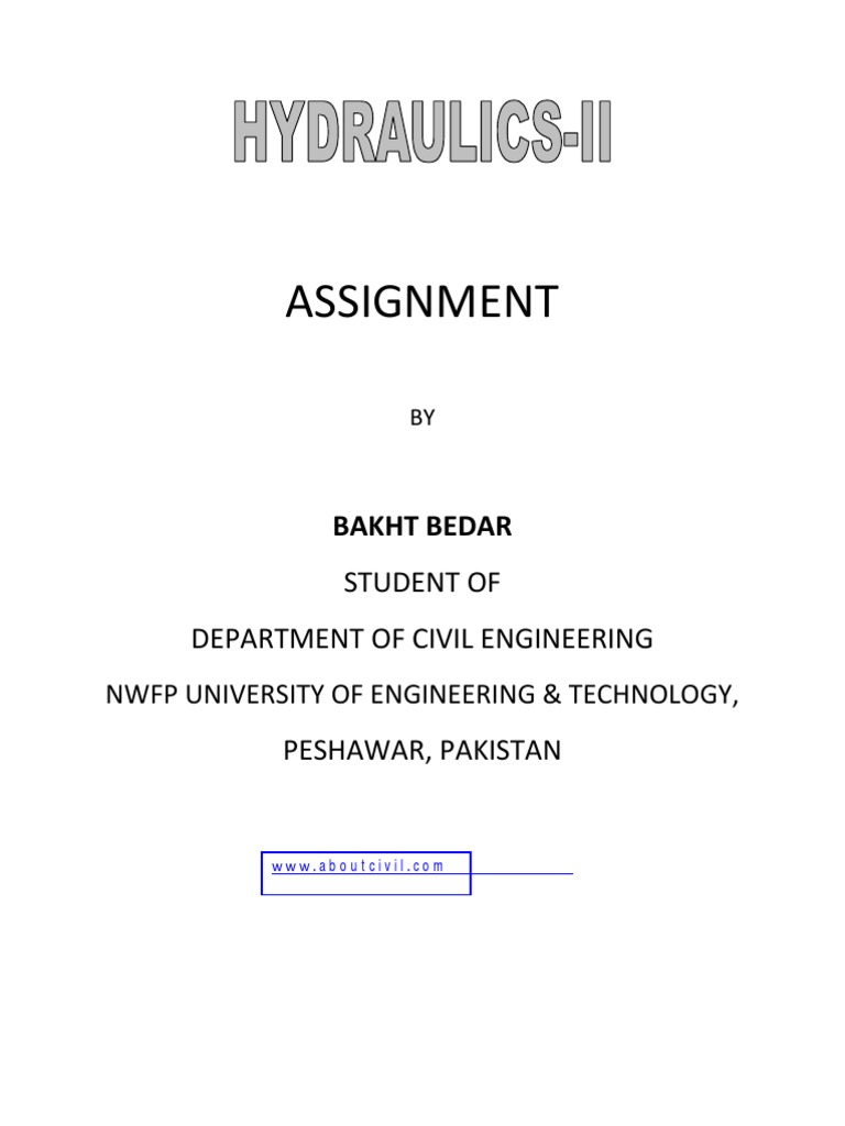 Hydraulics Assignment | PDF