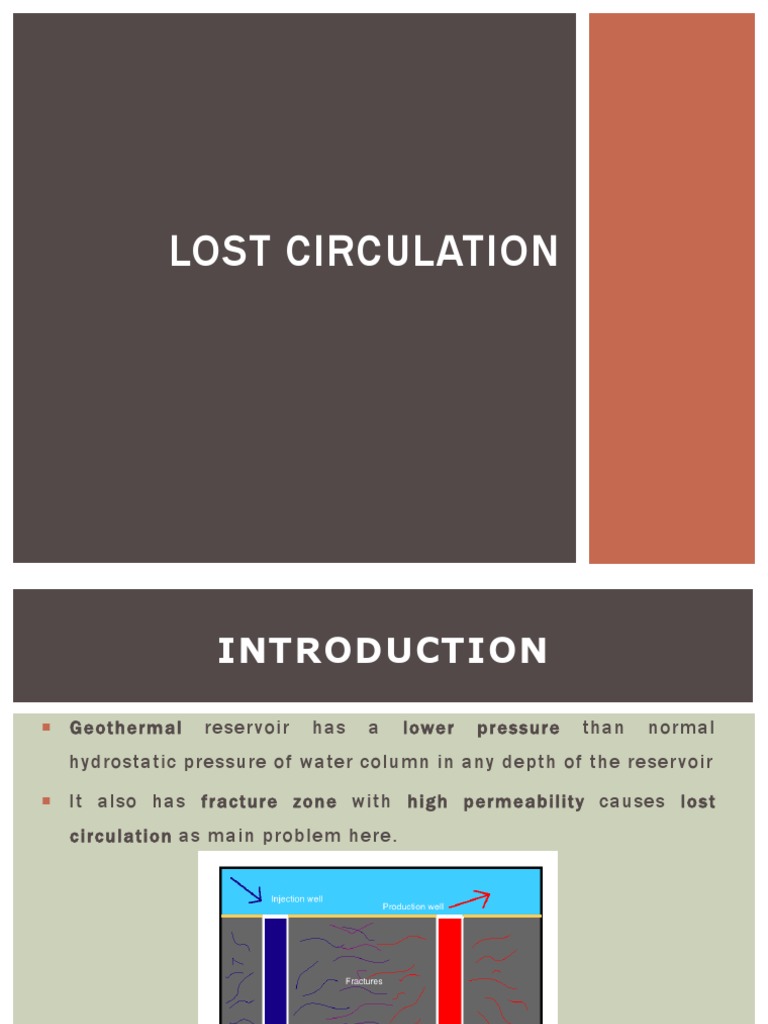 Lost Circulation | PDF