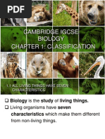 Taxonomy Foldable | PDF | Taxonomy (Biology) | Cell (Biology)