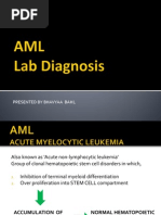 FAB Classification AML | PDF | Leukemia | Cell Biology