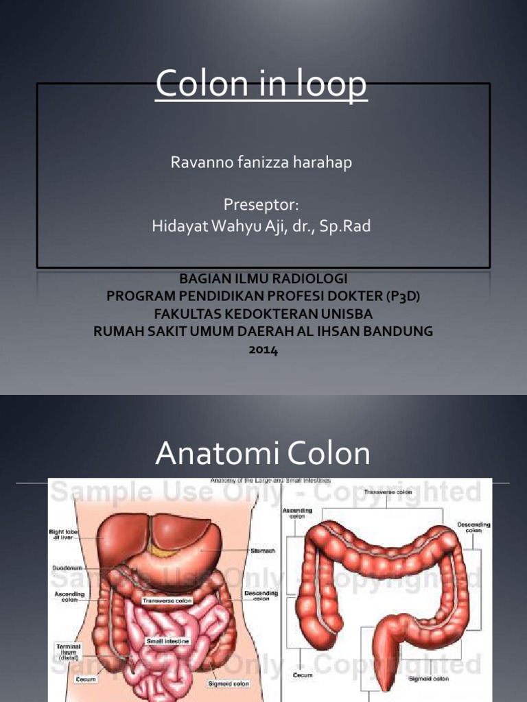 CSS Colon in Loop | PDF