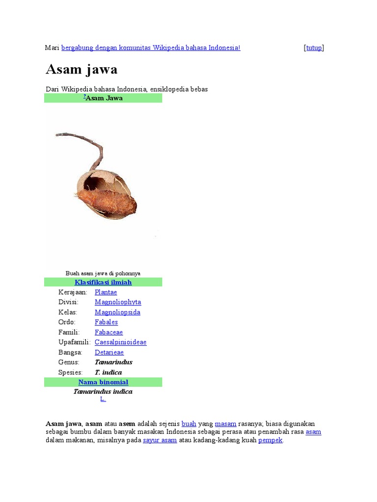 Asam Jawa | PDF