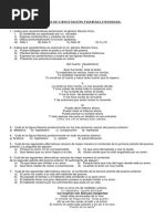 Preguntas para Prueba Poesia | PDF