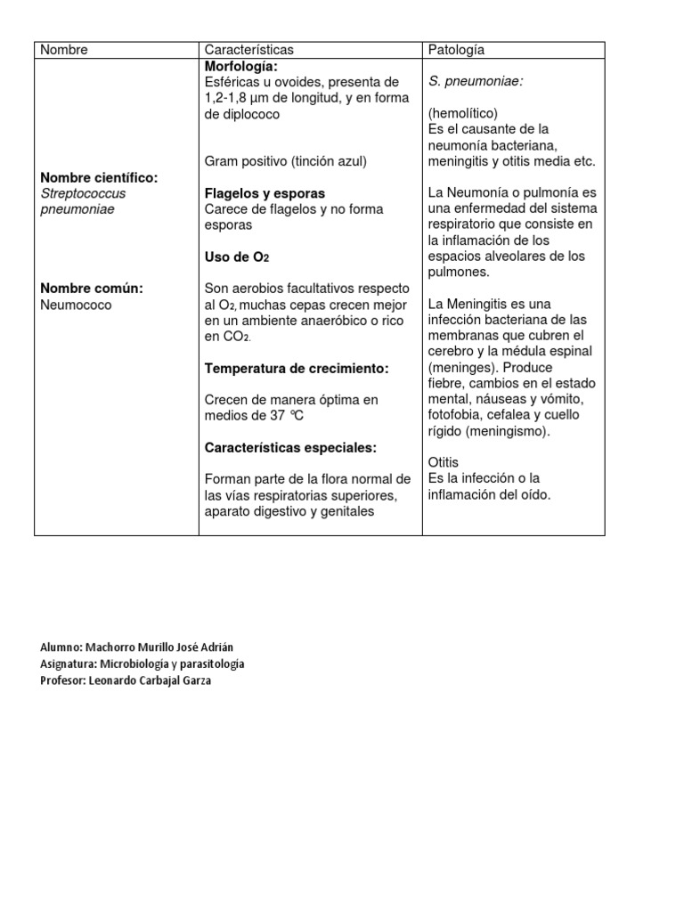 Bacterias Diplococos | Las bacterias | Ciencias de la Salud