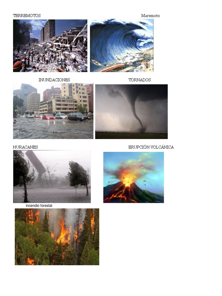 Desastres Naturales | PDF | Temblores | Tsunami