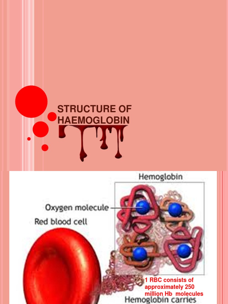 Structure of Haemoglobin | PDF | Hemoglobin | Biomolecules