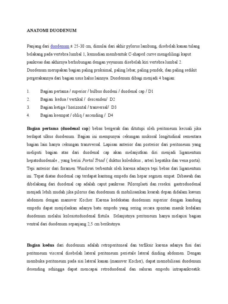 Anatomi Duodenum | PDF