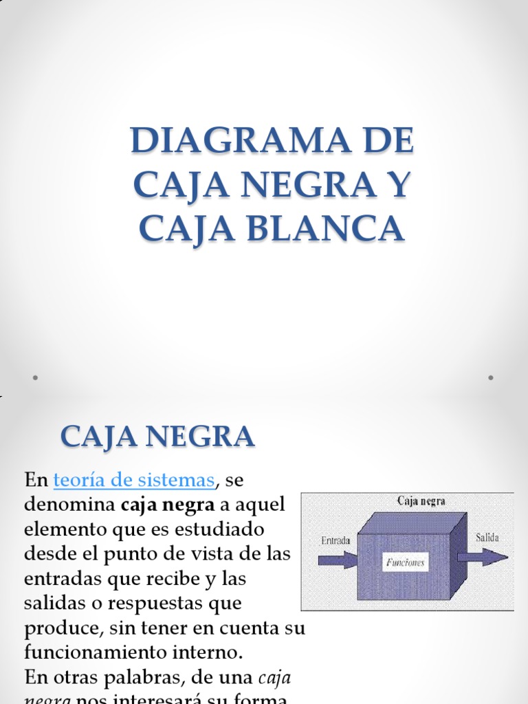 Diagrama-Caja Negra y Blanca | PDF