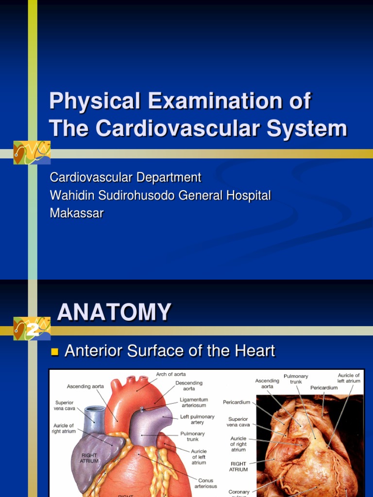 Cardiovascular System Physical Exam Guide | PDF | Pulse | Heart Valve
