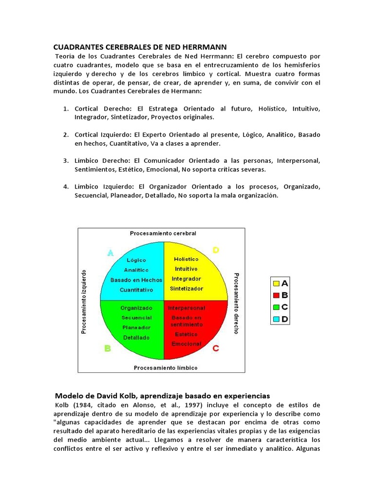 Cuadrantes Cerebrales de Ned Herrmann | PDF | Percepción | Aprendizaje