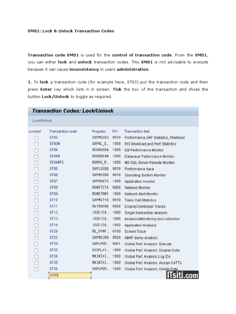 Lock & Unlock SAP Transaction Codes | PDF