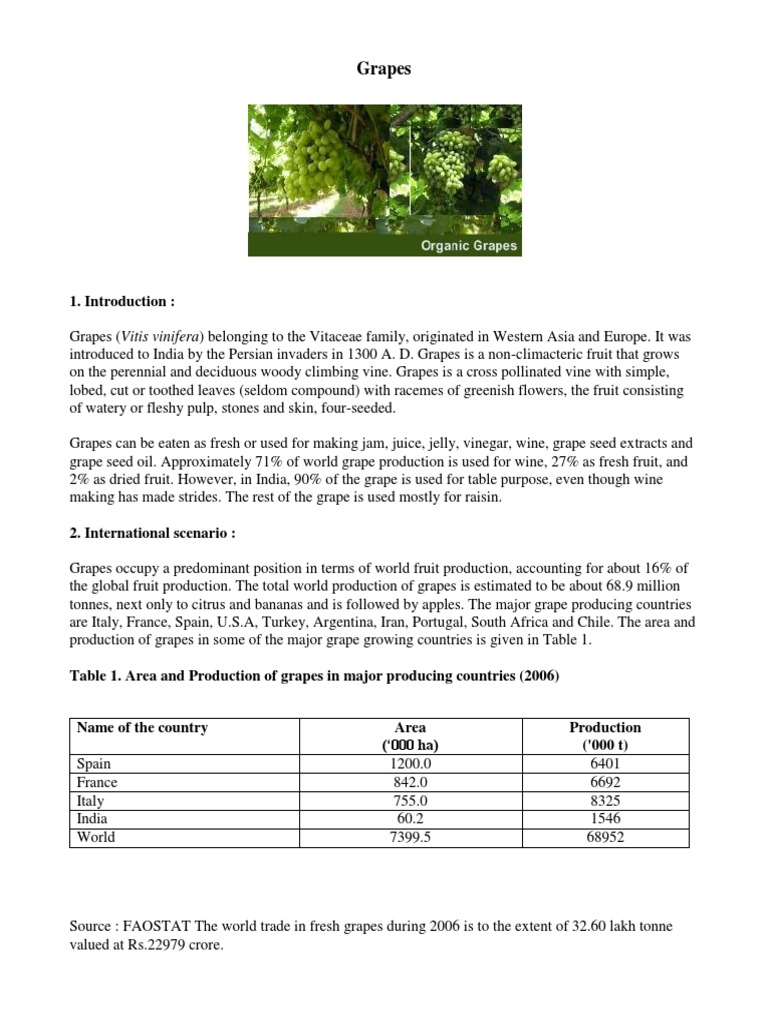 Grapes | PDF | Business