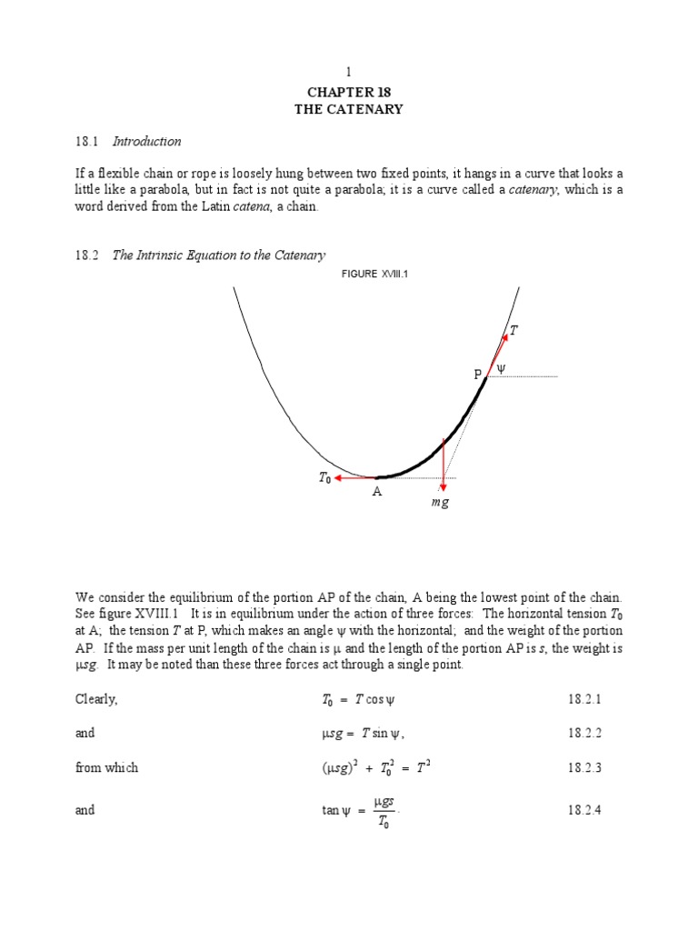 Catenary Theory | Mathematical Analysis | Geometry
